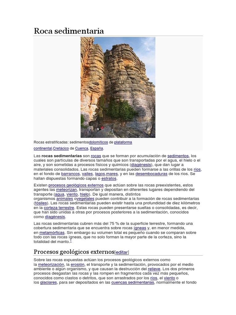 Tipos y Formación de Rocas Sedimentarias | PDF | Roca clástica | Roca ...