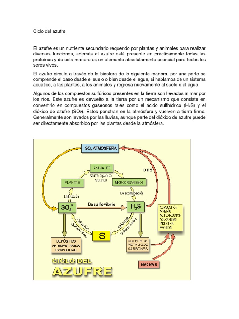 Ciclo Del Azufre | PDF | Dióxido de azufre | Azufre