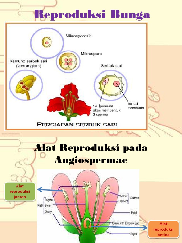 Reproduksi Bunga | PDF