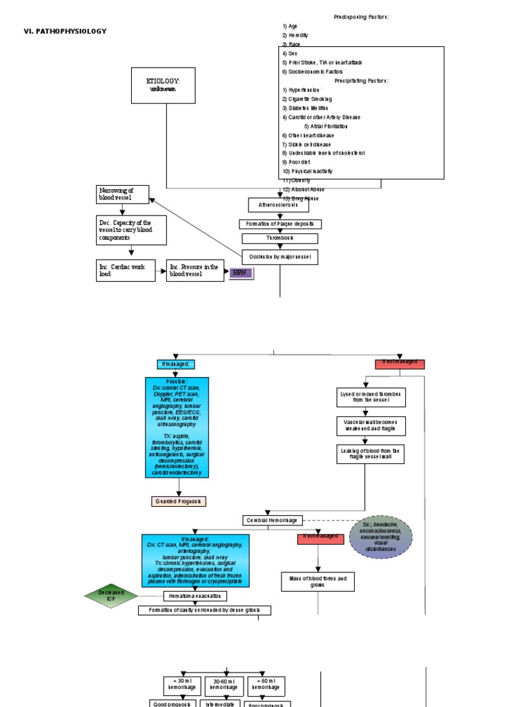 Pathophysiology CVA (Final2) | PDF | Stroke | Ischemia
