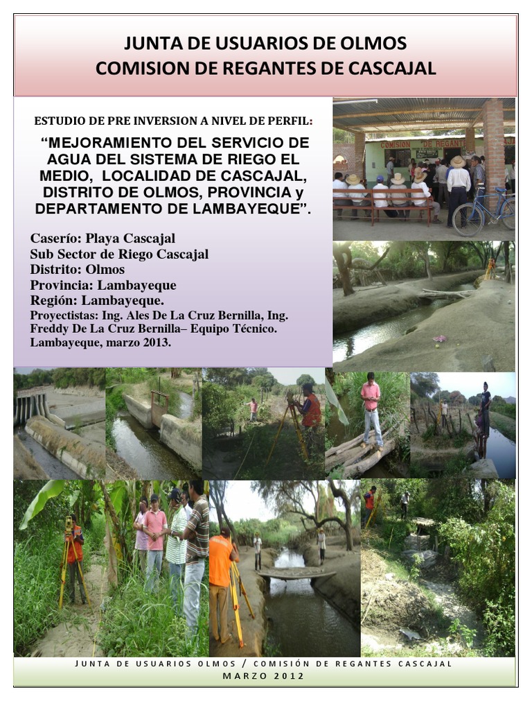 PIP Proyecto de Irrigacion Cascajal - Lambayeque | PDF | Riego | Presupuesto