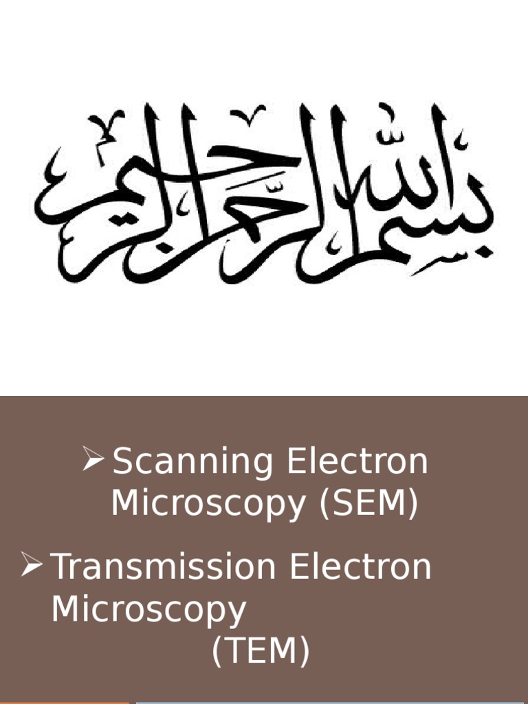 SEM and TEM: Principles and Applications | PDF | Microscope ...