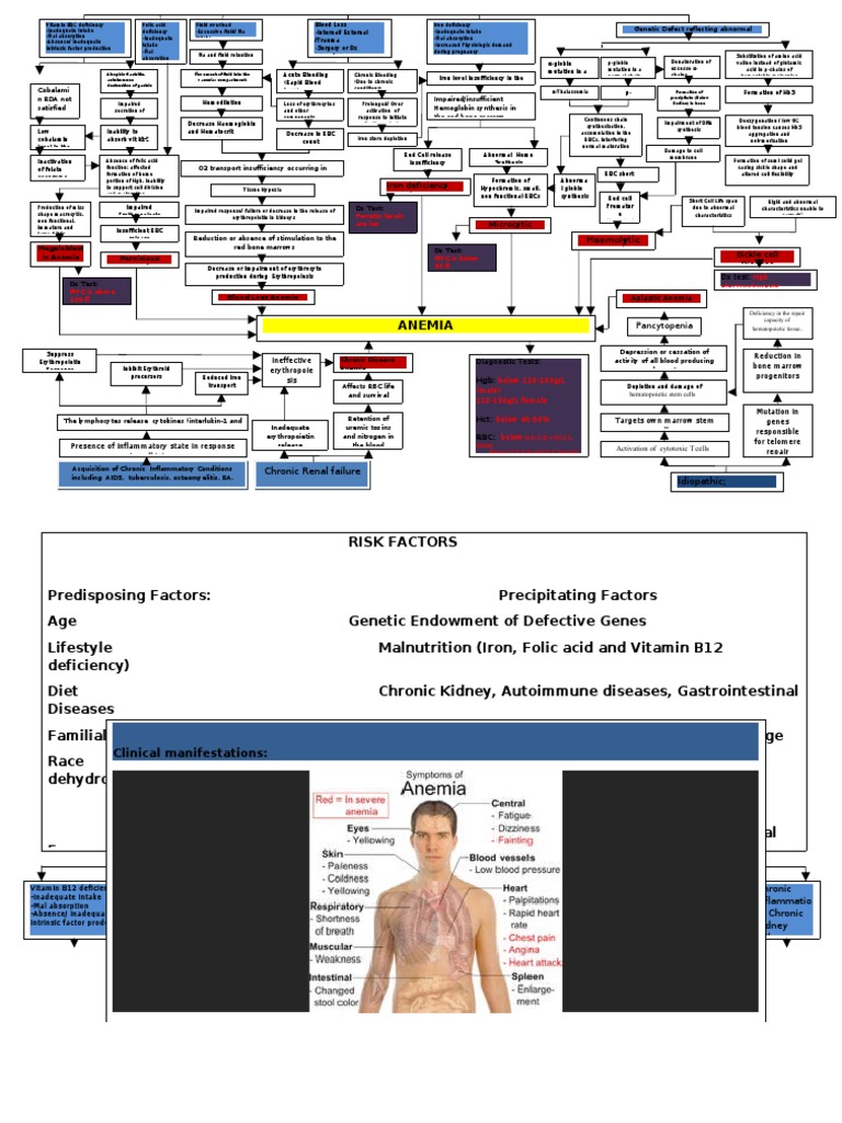 Anemia Pathophysiology All in 1 by Francis Oliveros | PDF | Anemia ...