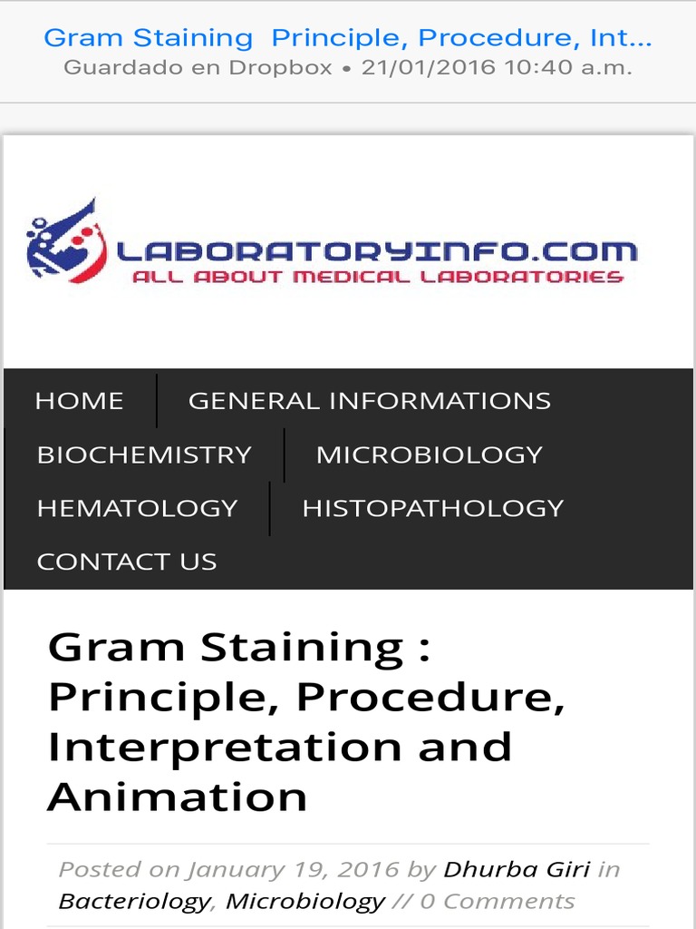 Gram Staining Principle, Procedure, Interpretation and Animation | PDF ...