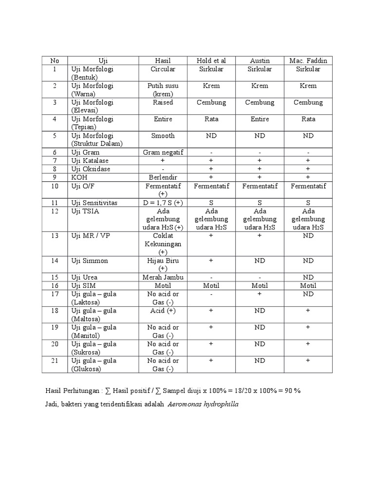 API I_kelompok 5 & 6_bp_c_tabel Hasil Identifikasi Bakteri & Uji Biokimia