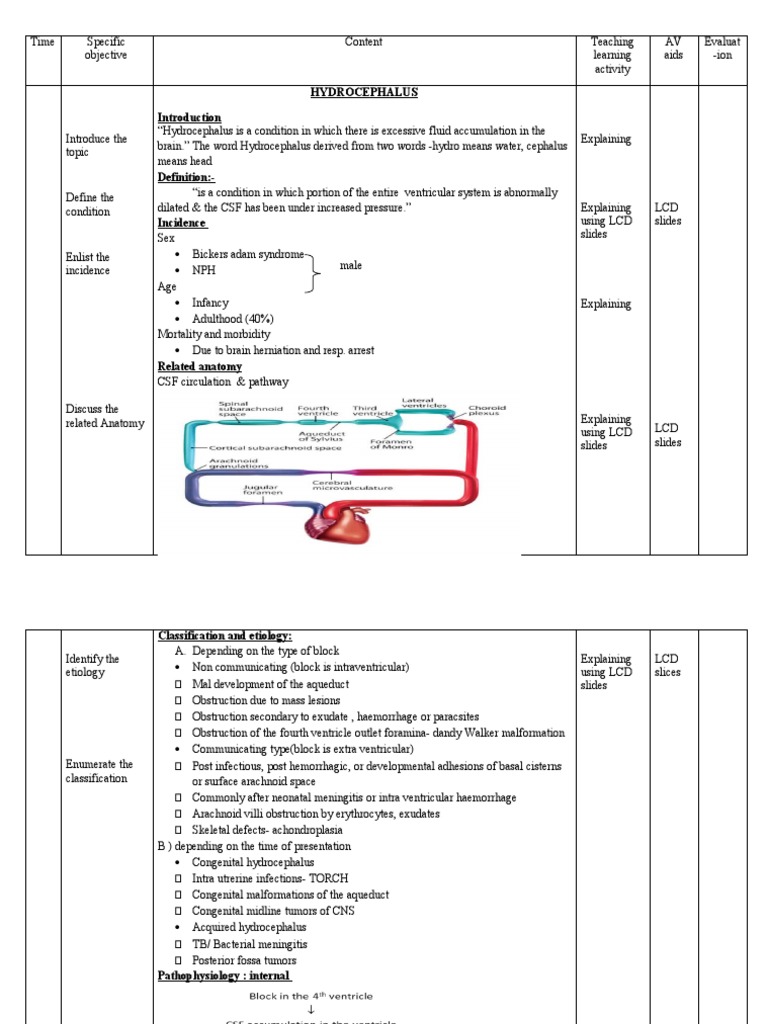 Hydrocephalus 9 | PDF | Cerebrospinal Fluid | Nervous System