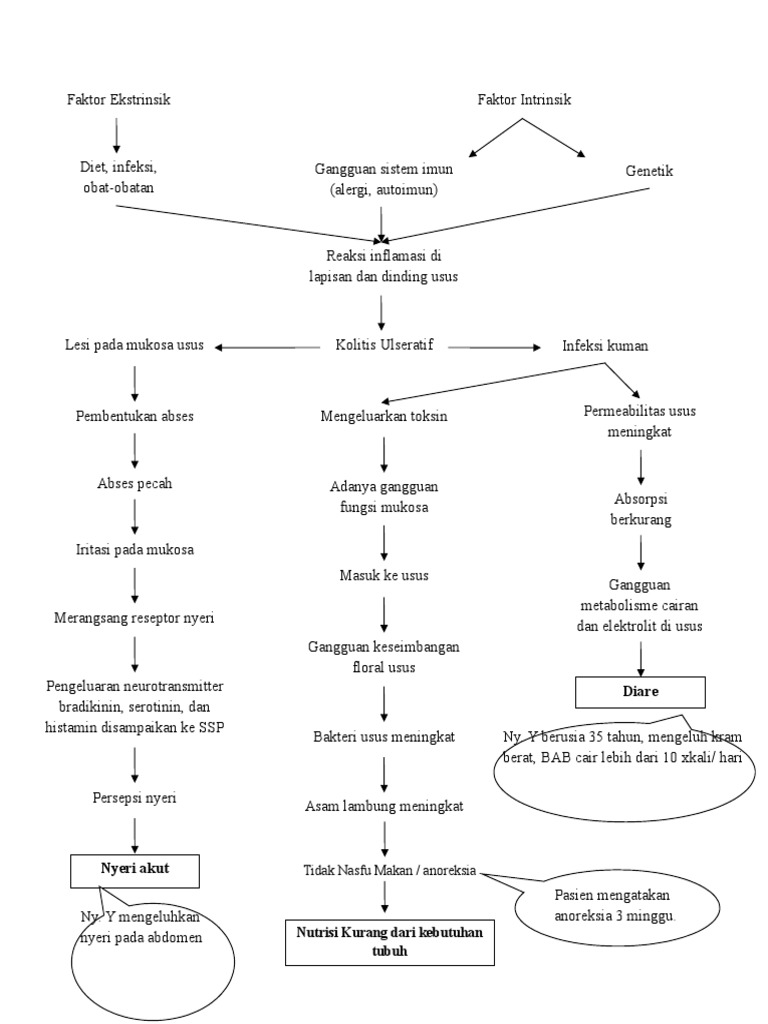 Pathway | PDF