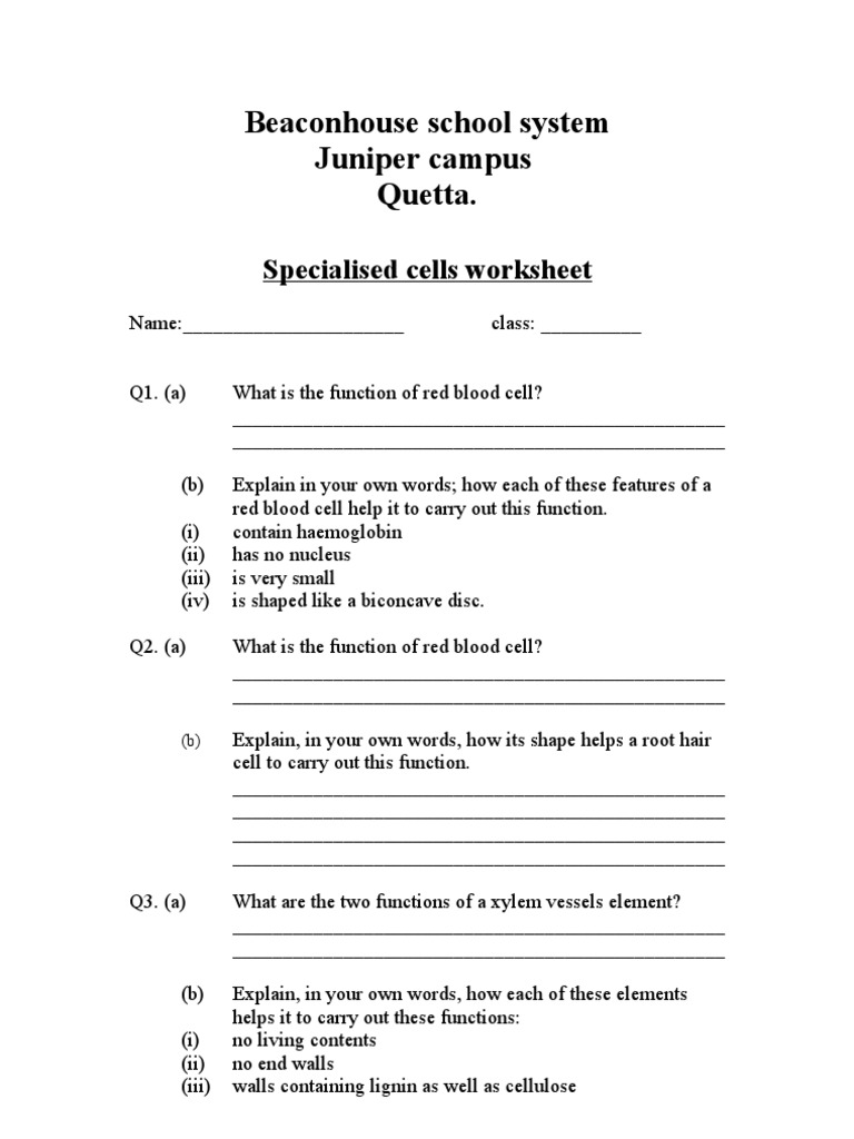 Specialized Cells Worksheet for Year 7 | PDF | Science & Mathematics ...