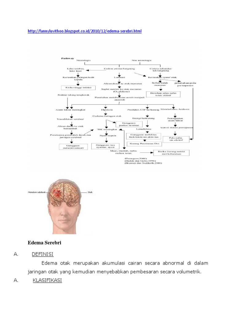 Patofisiologi Oedem Cerebri | PDF