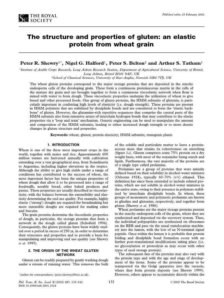 Structure and Functional Properties of Gluten PDF | PDF | Protein ...