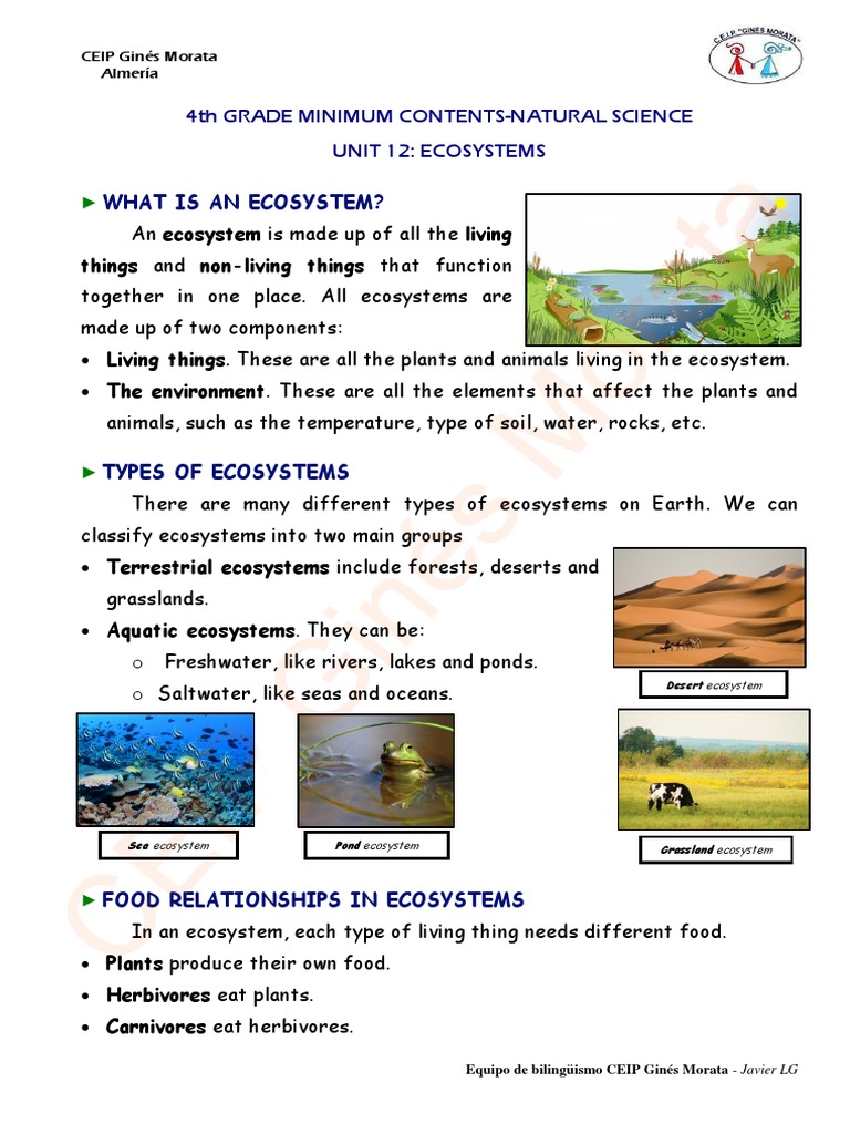 4th Grade Natural Science: Ecosystems | PDF | Ecosystem | Predation