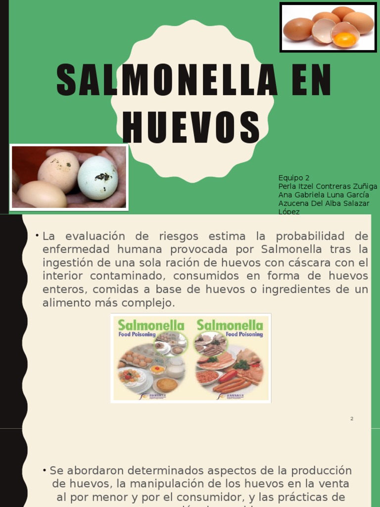 Salmonella en Huevos | PDF | Huevo como alimento | Salmonela