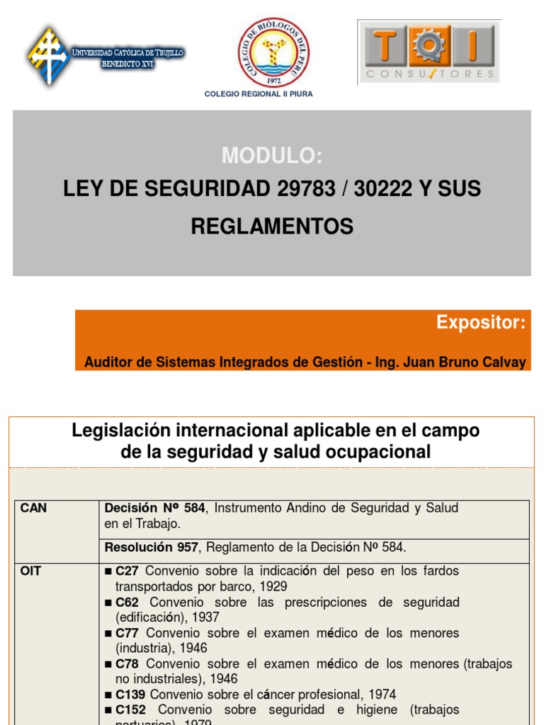 Ley 29783 y Modificatorias | PDF | Derecho laboral | Bienestar