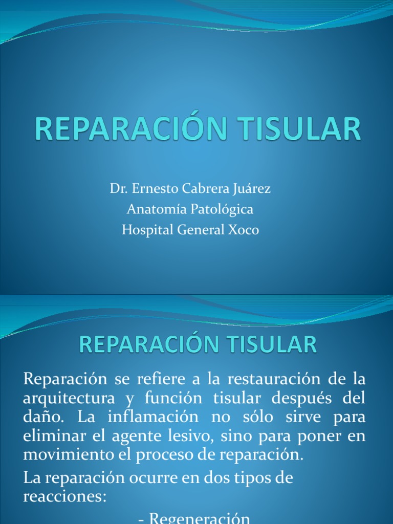 Procesos de reparación tisular: regeneración, cicatrización ...
