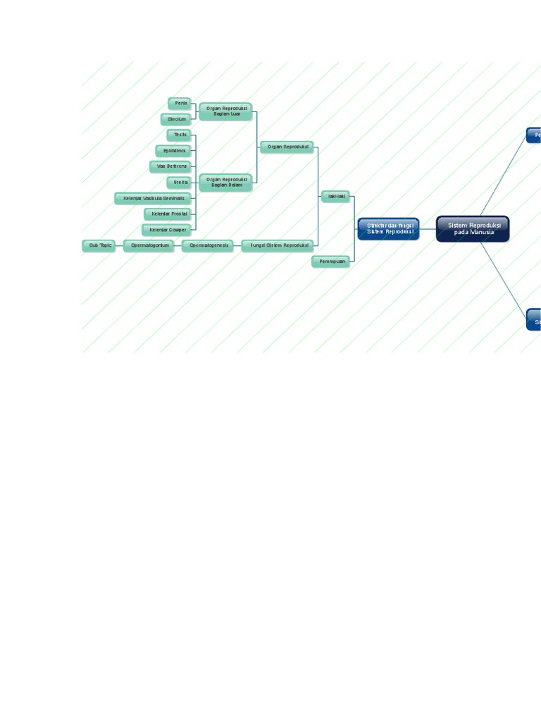 Mind Map Sistem Reproduksi | PDF
