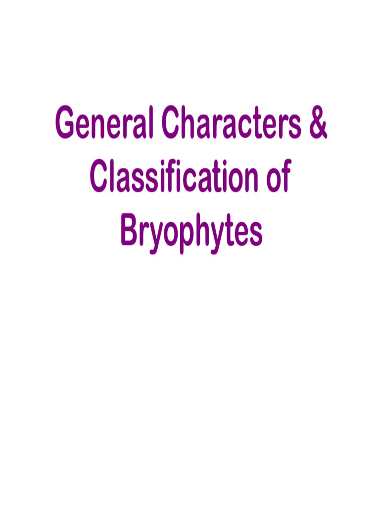 Bryophytes: Characteristics & Classification | PDF | Plants | Botany