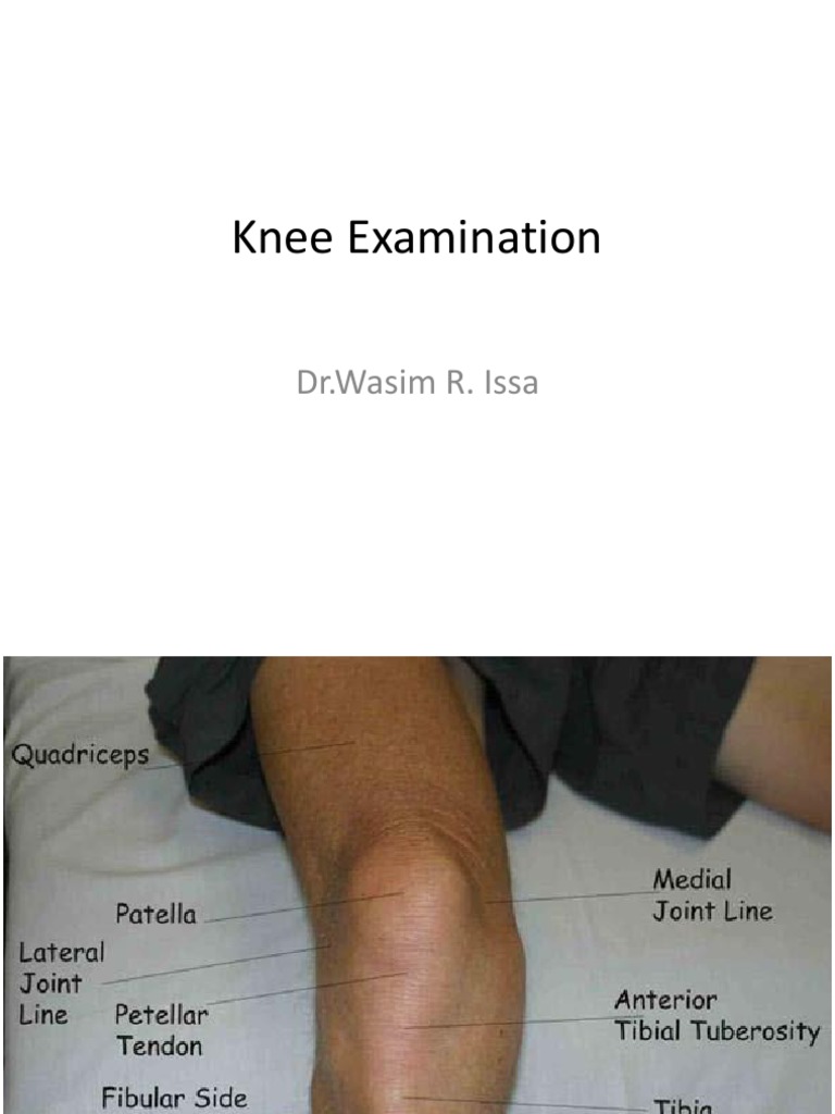 Knee Examination - Copy | Knee | Anatomical Terms Of Motion