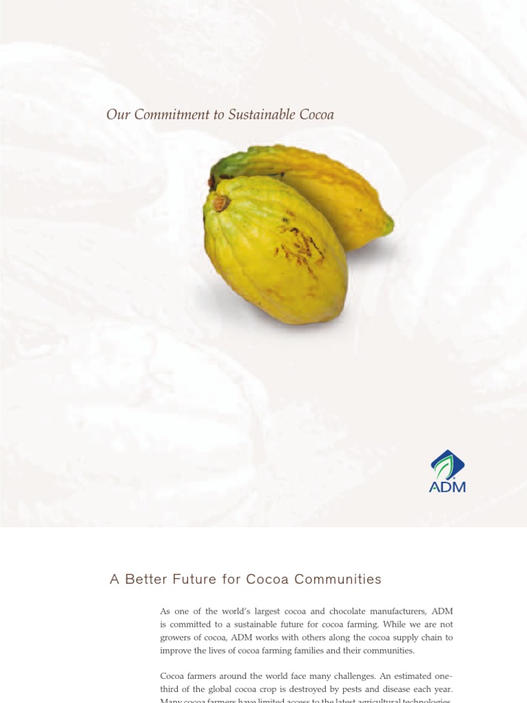 ADM Cocoa Sustainability Brochure | PDF | Cocoa Bean | Farmer