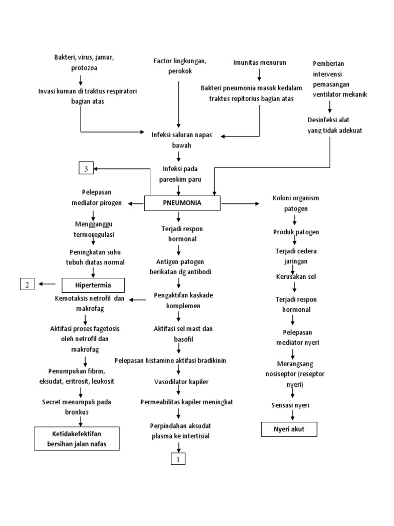 Pathway Pneumonia | PDF
