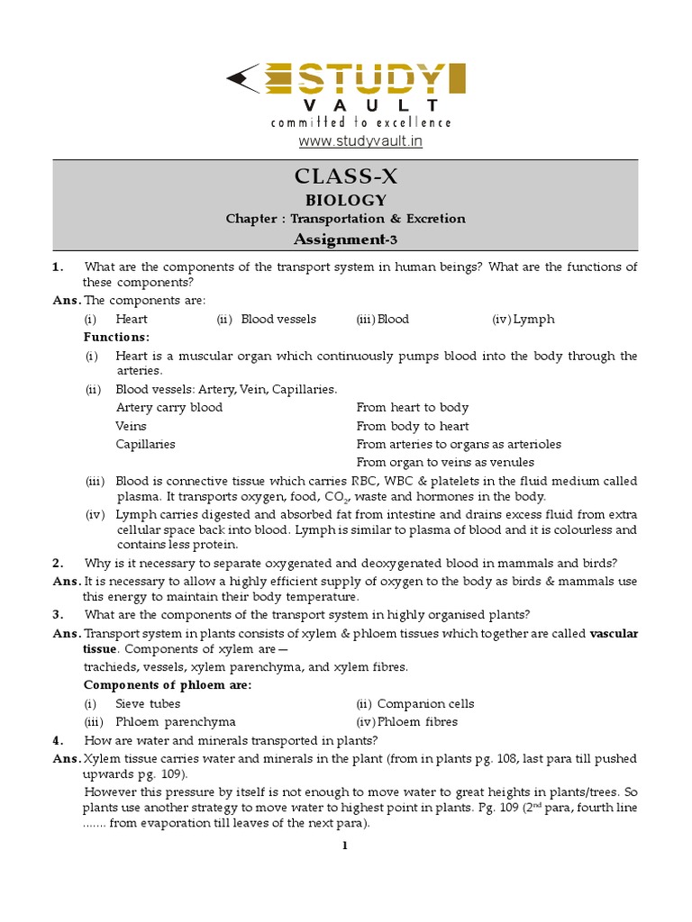 Assignment-DPS BIO Assignment-03 (Transportation & Excretion) Class-X 0110 | PDF | Kidney ...