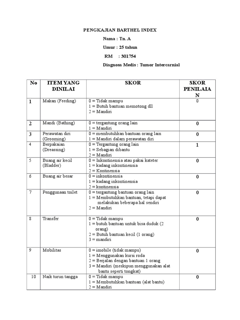 Pengkajian Indeks Barthel Tn. A | PDF