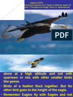 7 Principles of An Eagle | PDF | Eagle | Nest