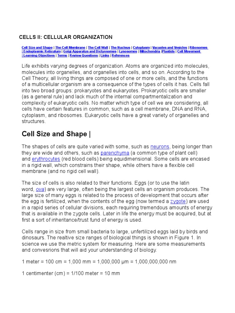 Cell Size and Shape - : Cells Ii: Cellular Organization | PDF ...