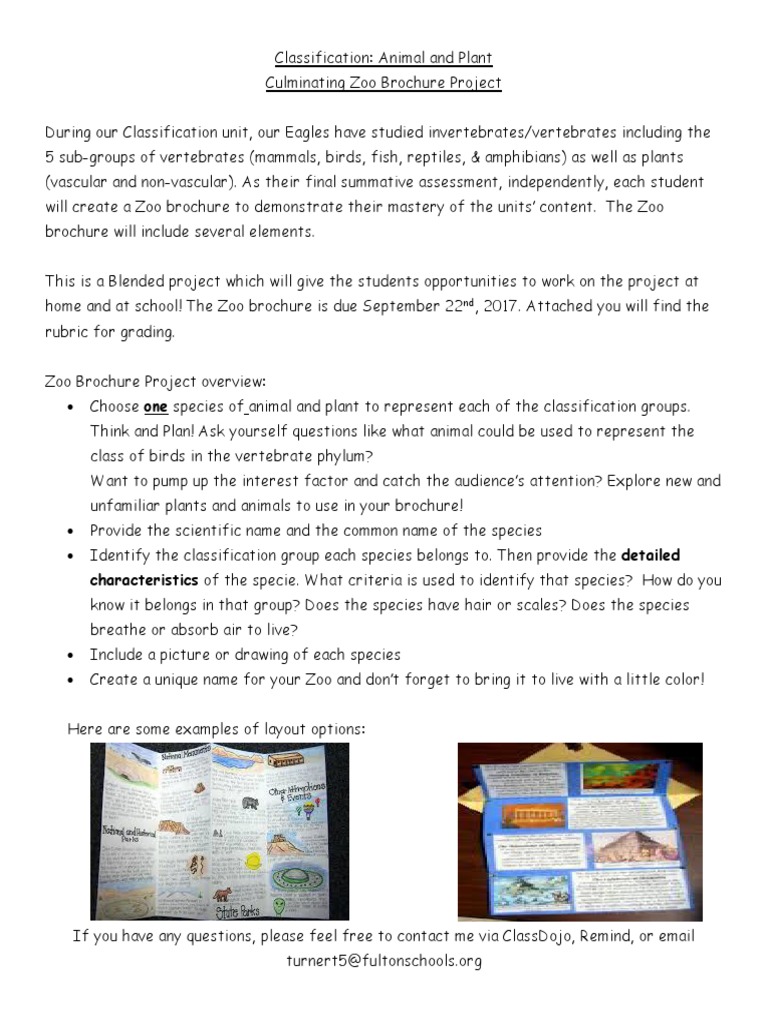 Zoo Project Rubrics Instructions | PDF | Vertebrates | Taxonomy (Biology)