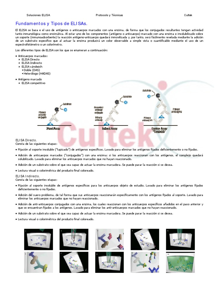 Soluciones ELISA Protocolos | PDF | Elisa | Anticuerpo