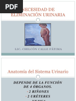 GUÍA de PROCEDIMIENTOS Control de La Diuresis | PDF | Vejiga urinaria ...