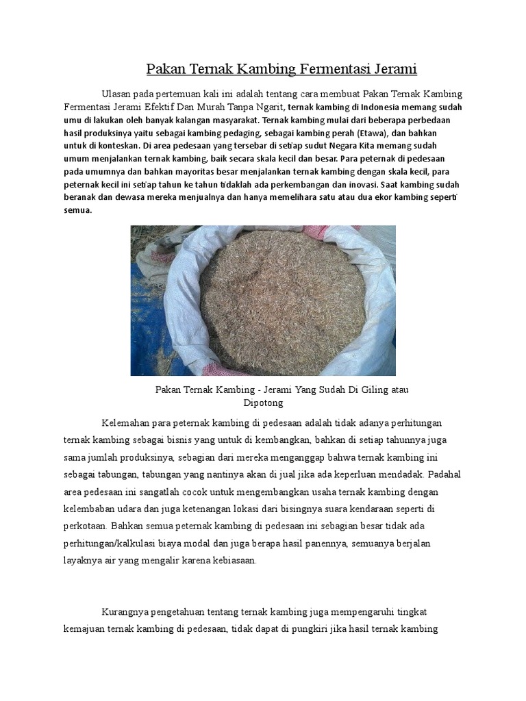 Pakan Ternak Kambing Fermentasi Jerami | PDF