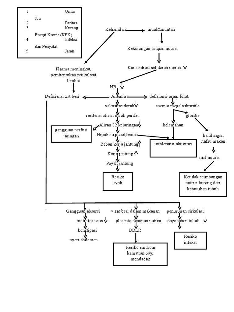 Pathway Anemia Ibu Hamil
