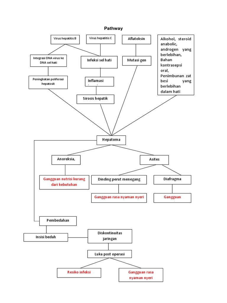 Pathway Hepatoma | PDF