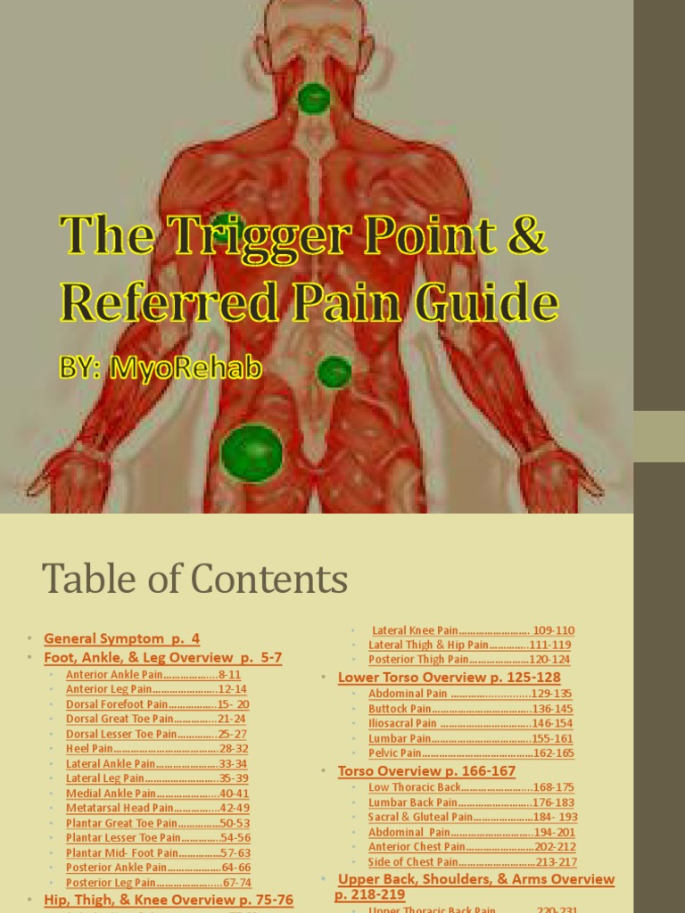 DTM Trigger-Point-Referred-Pain-Guide-Interactive PDF | PDF | Foot | Joints