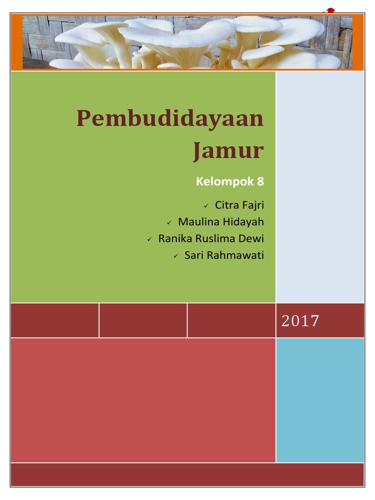 Modul Mikologi Tentang Jamur | PDF