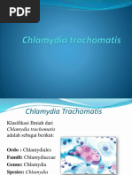 Manifestasi Klinis Menurut WHO Untuk Penderita HIV Dibagi Kedalam 4 ...