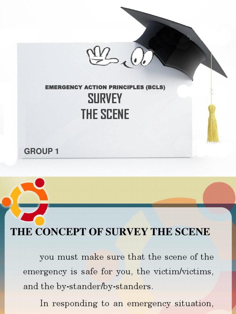 Survey the Scene