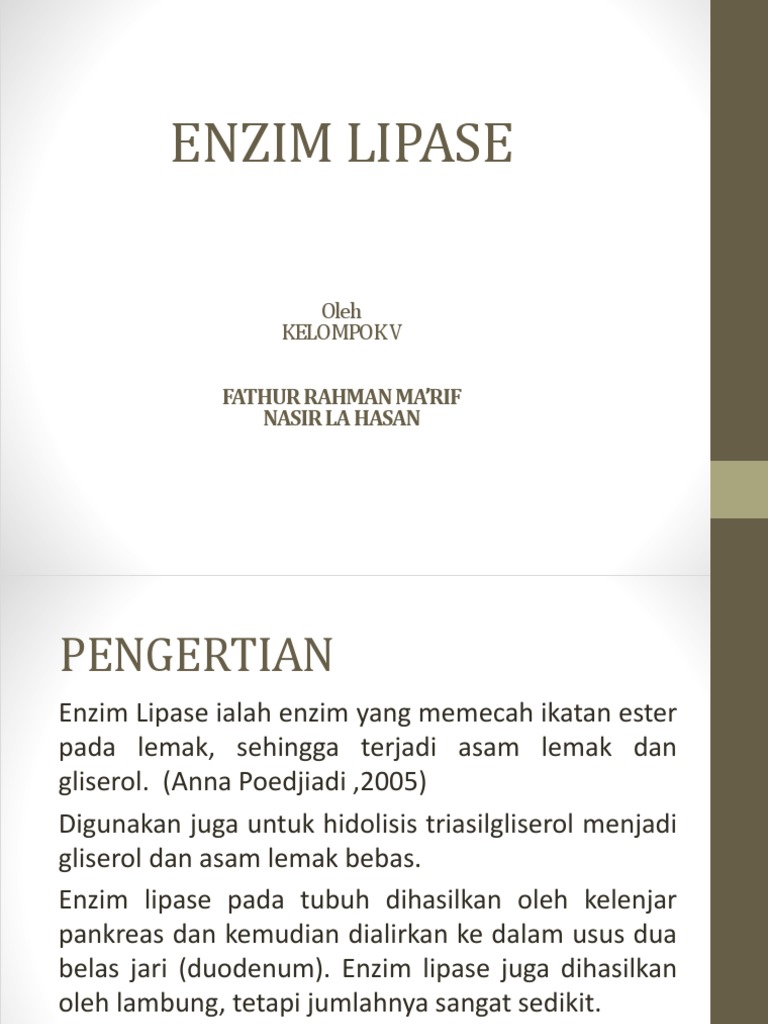 Enzim Lipase | PDF