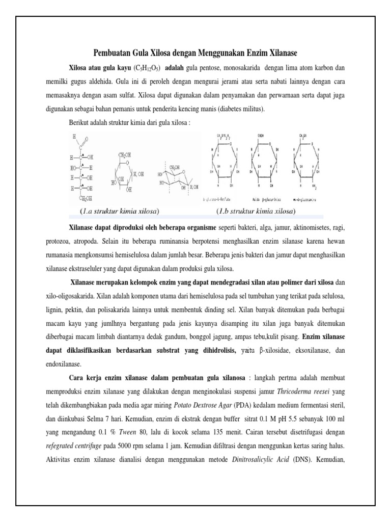 Produksi Xilosa dengan Xilanase | PDF