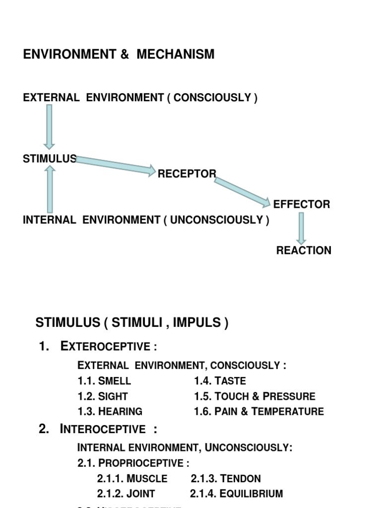 N Systema Nervosum 110414 | PDF | Science & Mathematics