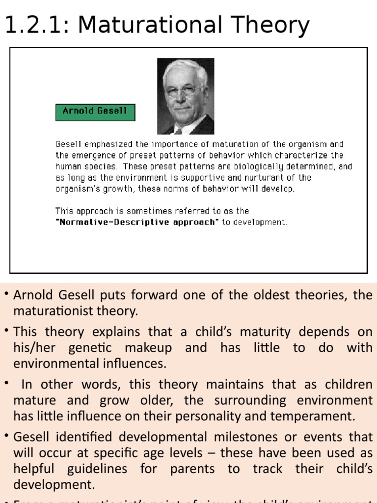 Maturational Theory | PDF