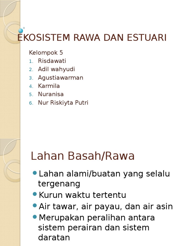 Ciri dan Klasifikasi Ekosistem Rawa | PDF