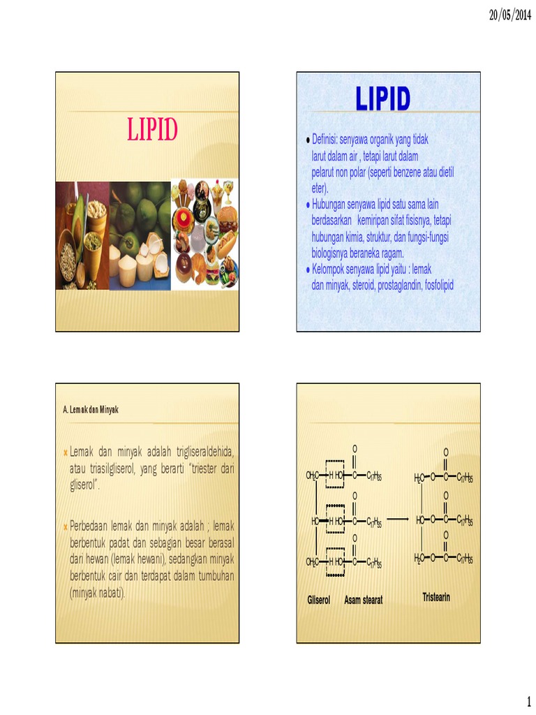 Lipid Dan Lemak PDF | PDF