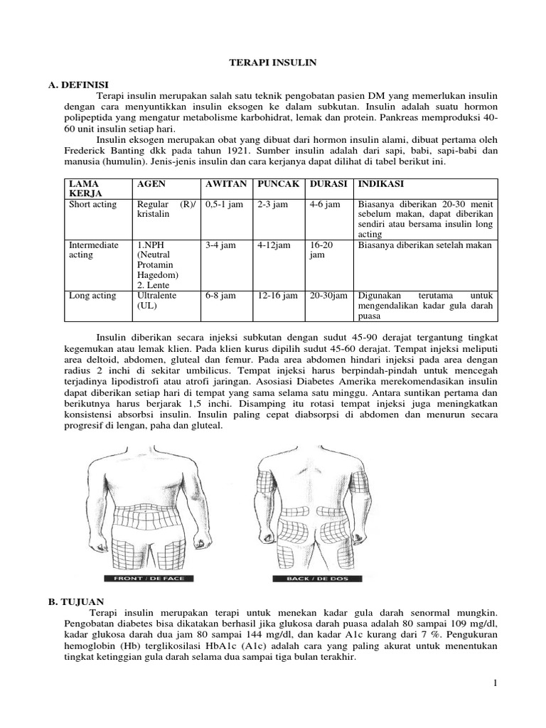Sop Terapi Insulin | PDF