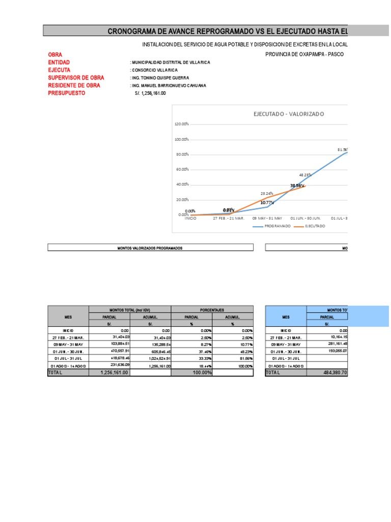 Curva Reprogramado Vs Ejecutado | PDF | Horticultura y jardinería | Construyendo tecnología