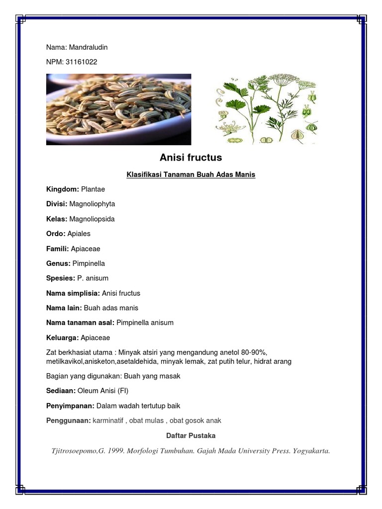 Anisi Fructus (Buah Adas Manis) | PDF