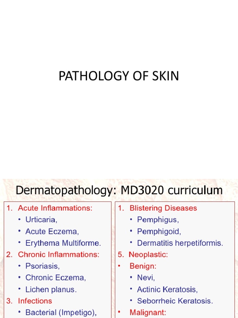 Pathology of Skin | PDF | Cutaneous Conditions | Epidermis