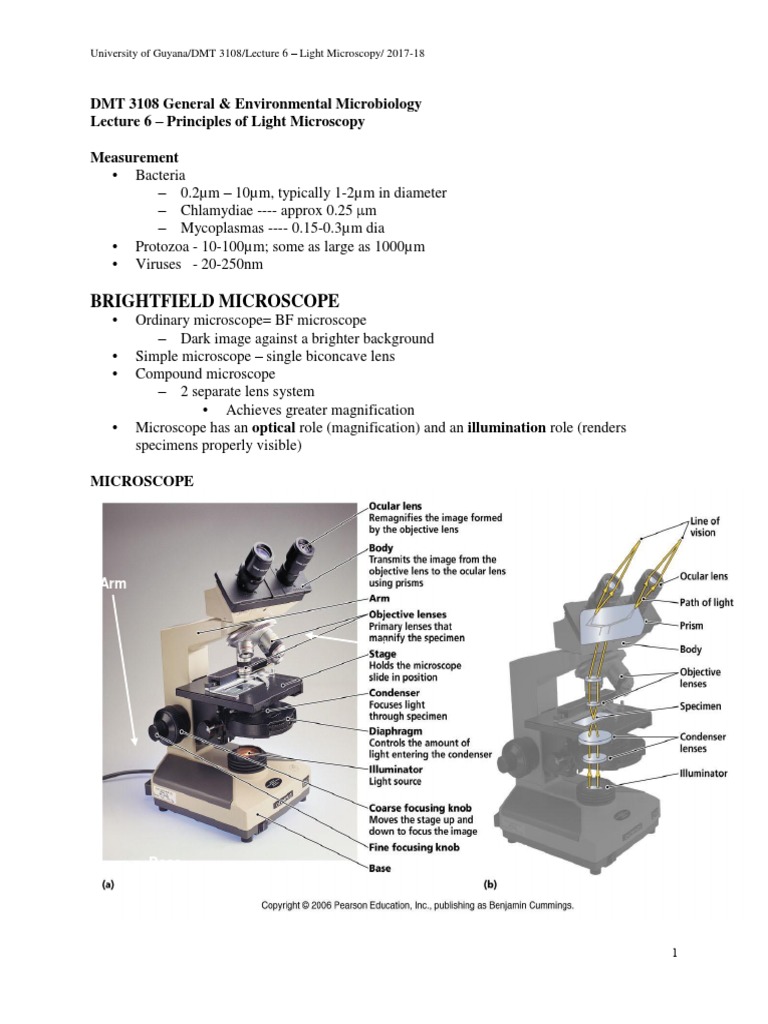 Microscopy Techniques | PDF | Angular Resolution | Microscope