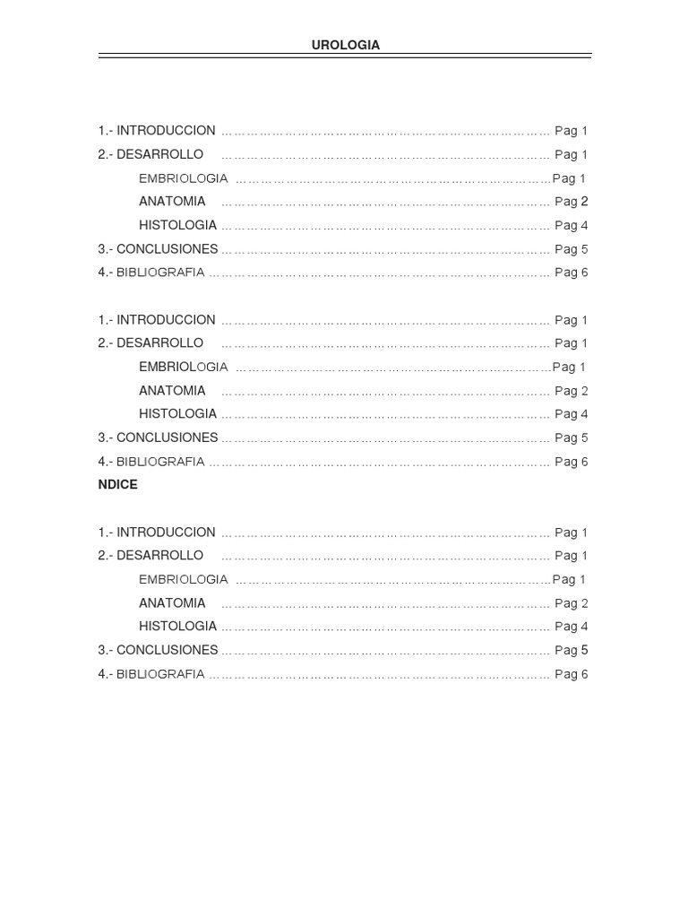Modelo de Indice | PDF | Estudios de idiomas extranjeros | Arte
