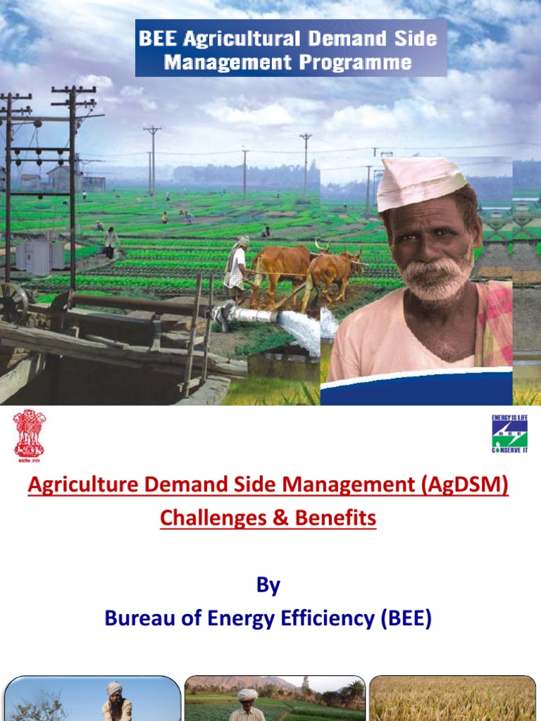 AgDSM Challenges & Solutions in India | PDF | Efficient Energy Use ...